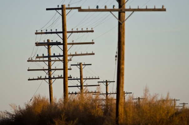 FCC Settles Verizon, Potomac Edison Pole Attachment Dispute | Rural ...